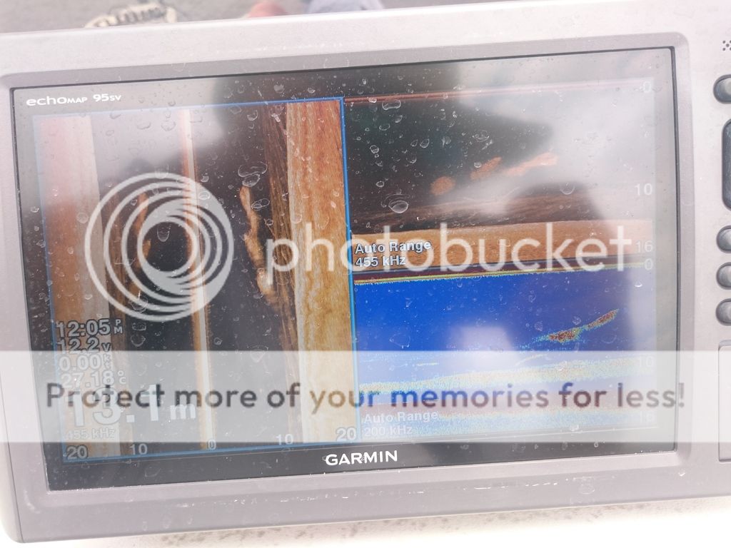 Side View Sounder - Saltwater - Australian Fishing Online